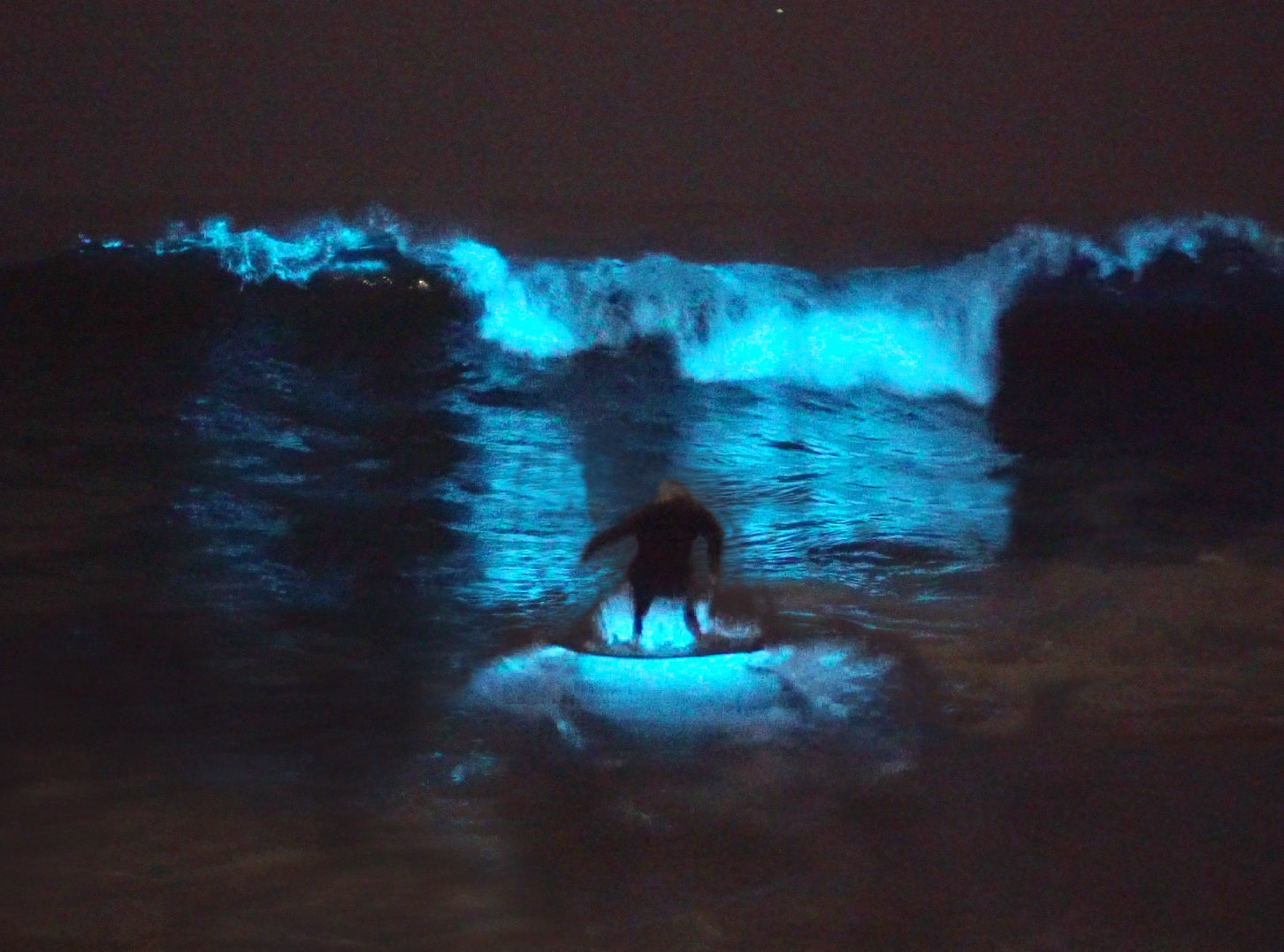 BLAIR CONKLIN RED TIDE GLOW SKIM – Catch Surf USA